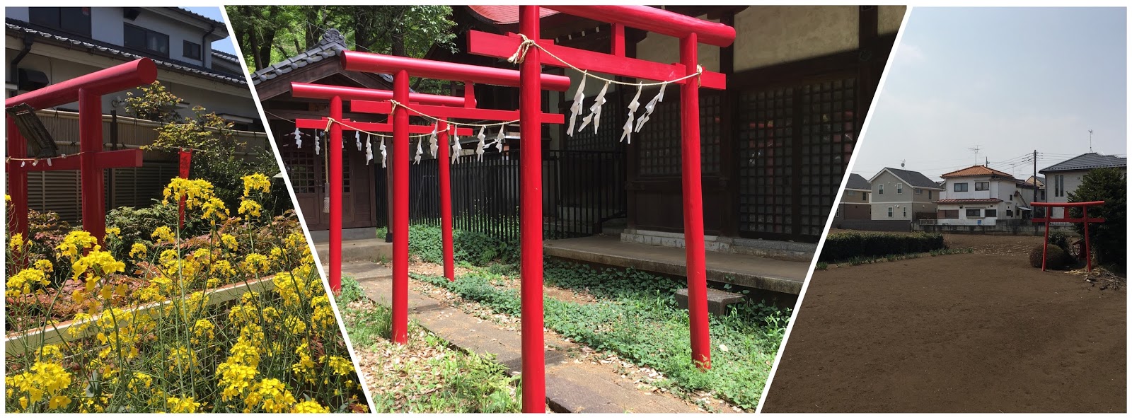 Torii Gates - Big and Small