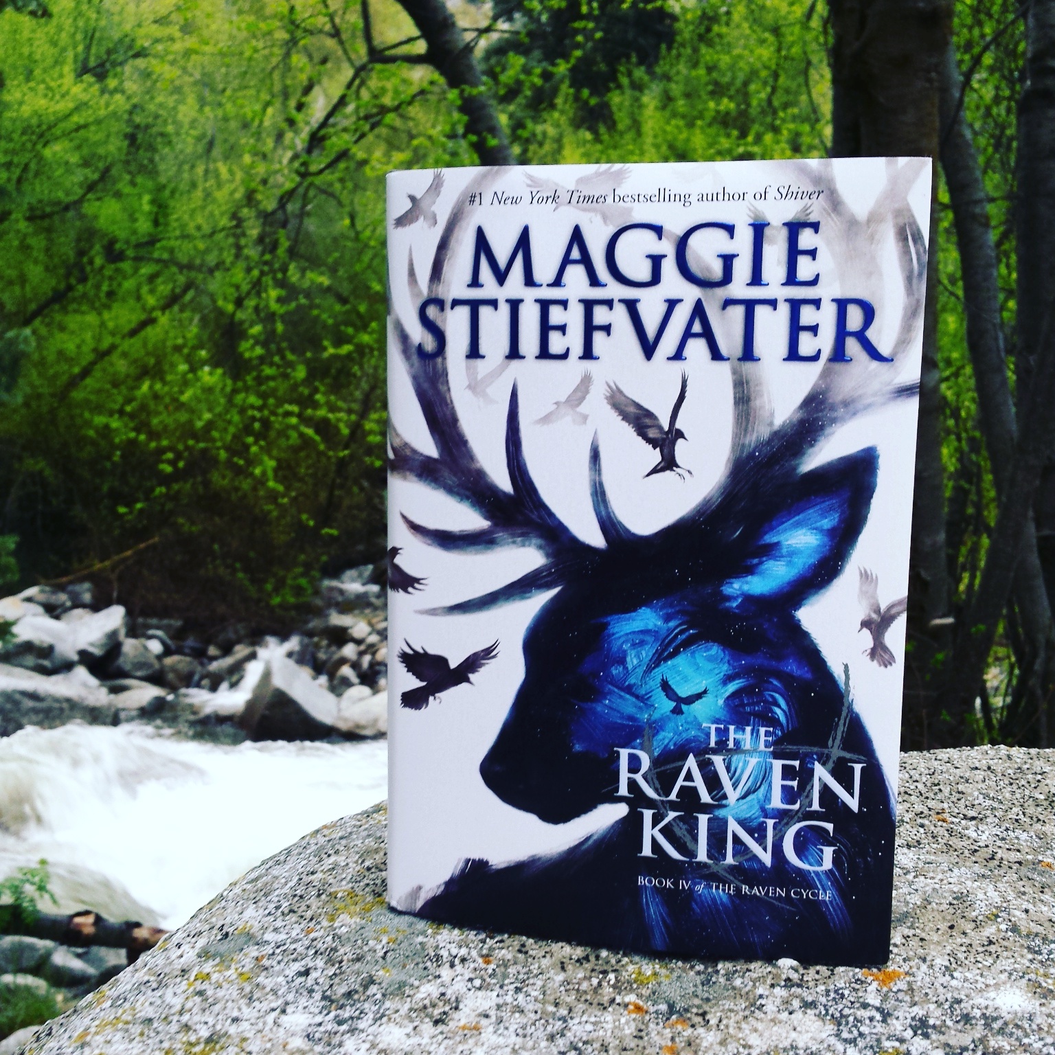 J R L i n d z : Book Review: The Raven King by Maggie Stiefvater