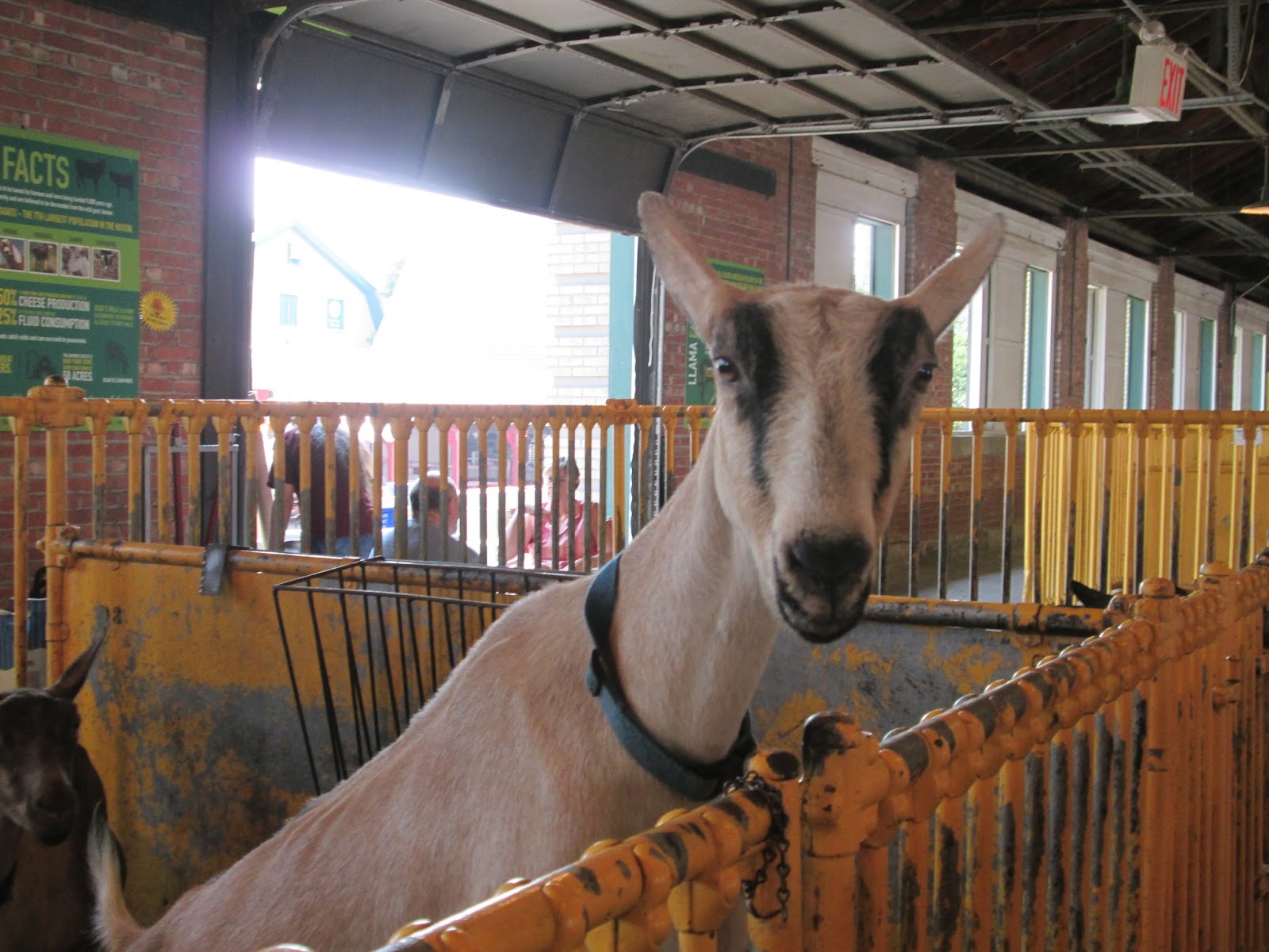 Empire State Farming: New York State Fair 'One Thing" Series Begins on ...