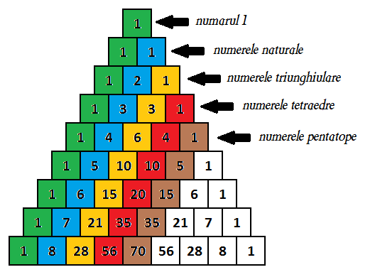 Triunghiul lui Pascal | Gandire Logica