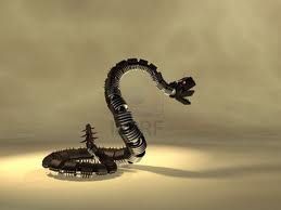 SEE PHOTOS OF SNAKE ROBOT DEVELOPED BY THE INDIAN SCIENTIST.. - Naij360.com