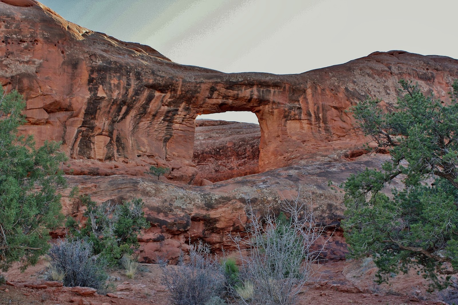 The Southwest Through Wide Brown Eyes: The Lone Rock Road Behind the ...