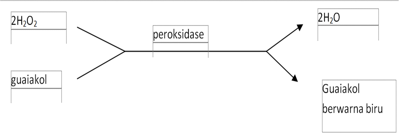 KAMPUS FARMASI: PRAKTIKUM BIOKIMIA OKSIDASI BIOLOGI