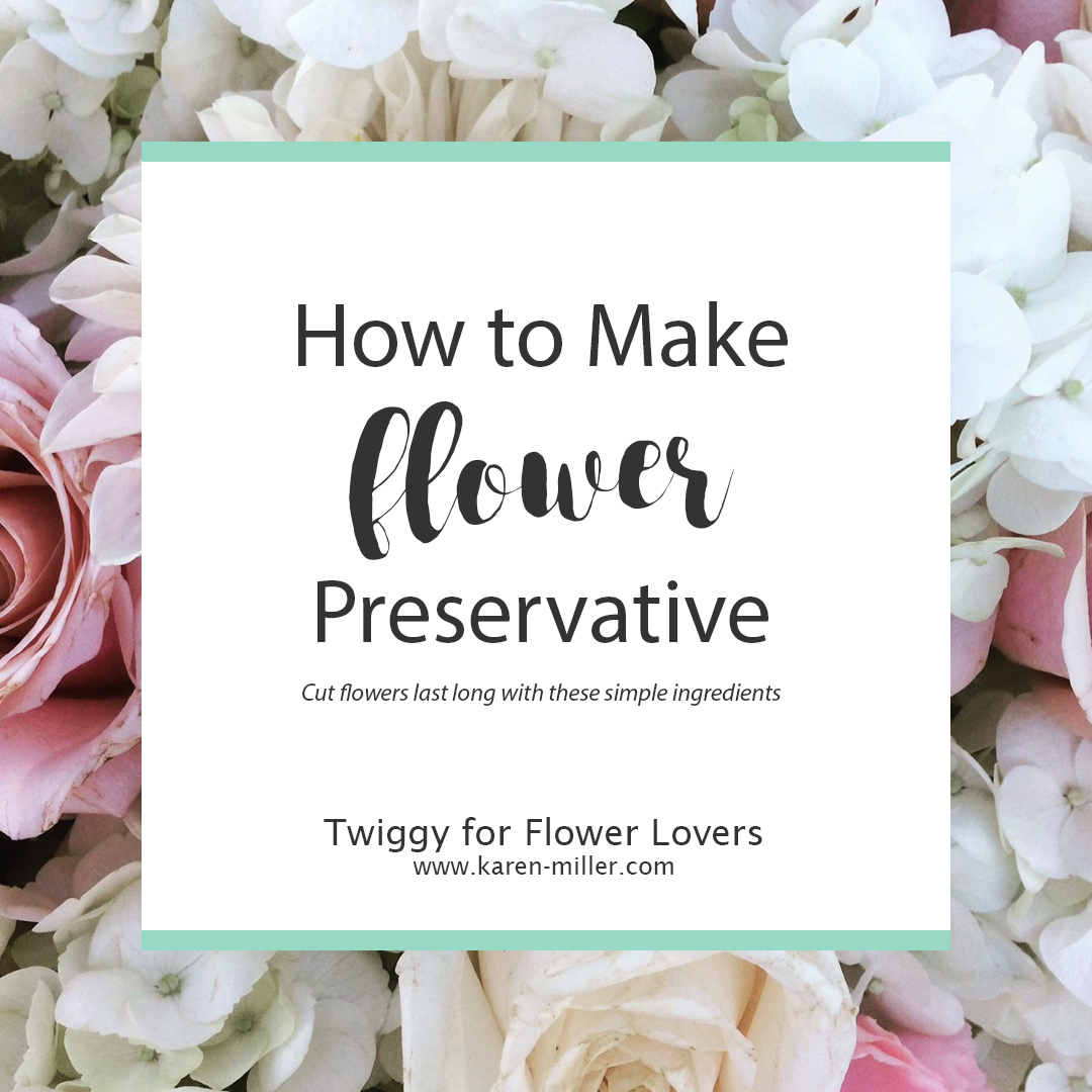 How To Make Flower Perservative how-to-make-flower-perservative