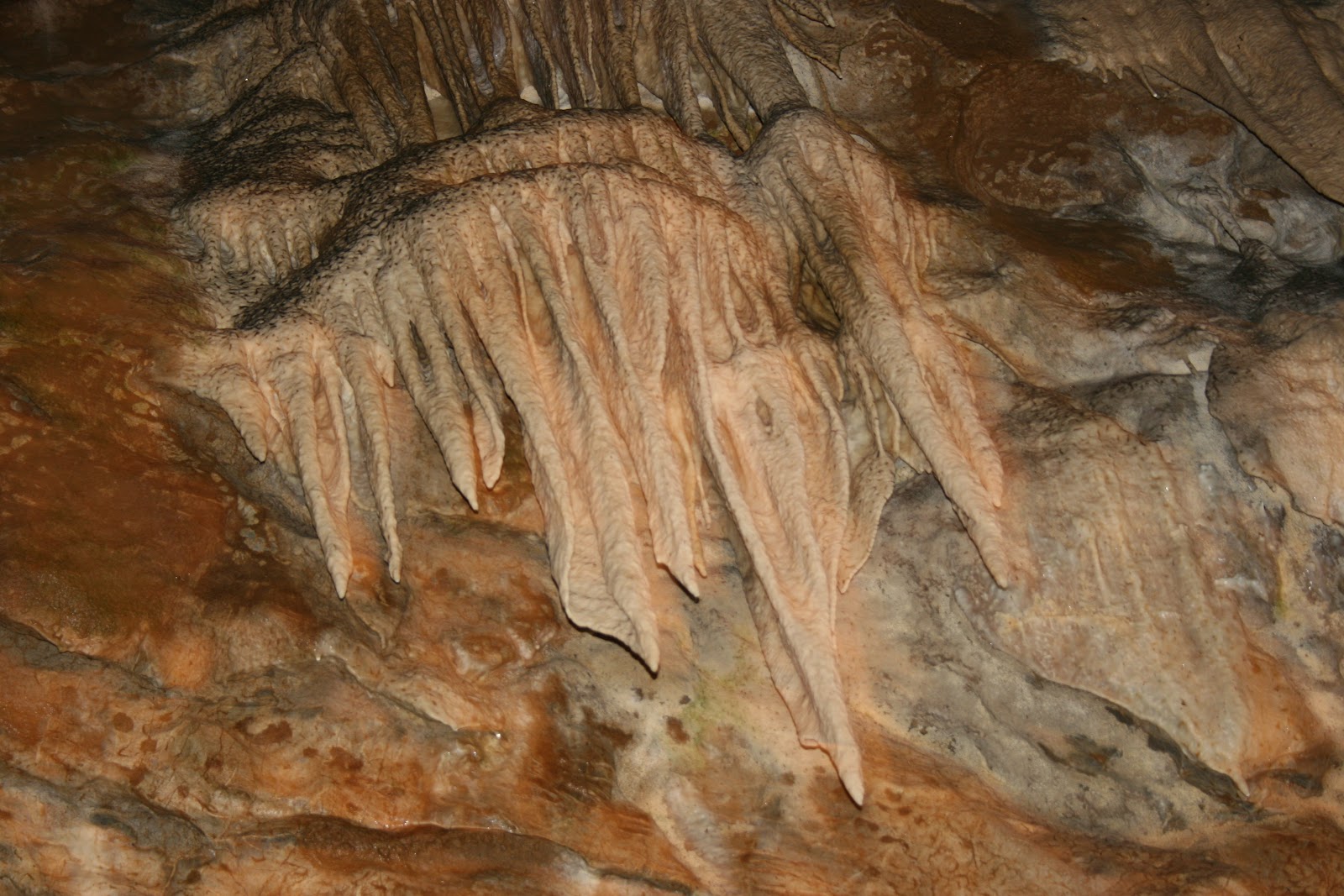 Vůně naděje: Punkevní jeskyně