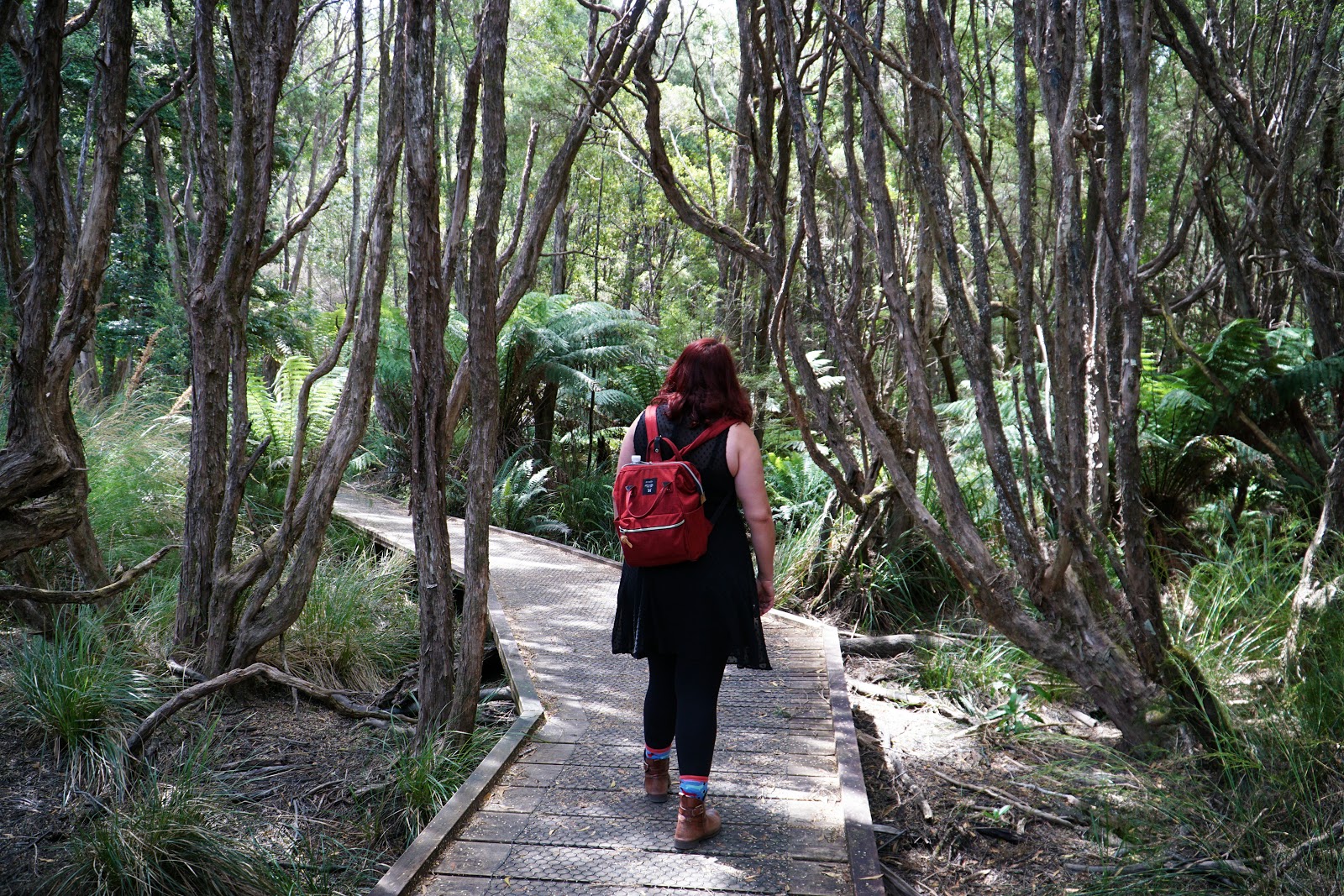 Huon Pine & Whyte River Track (Pieman River State Reserve) ~ The Long ...