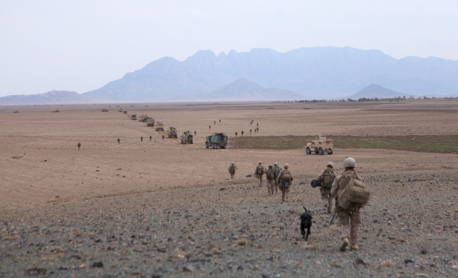 SNAFU!: Operation Western Gambit clears insurgents in Now Zad