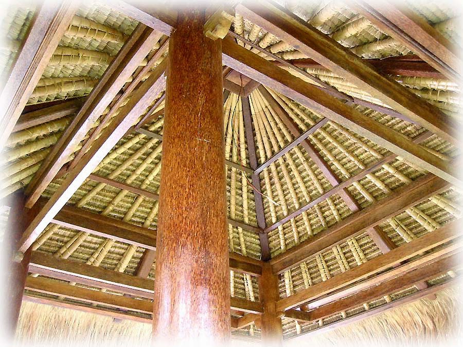 Plants, potteries and gardening products: Alang-Alang and Atap Nipah