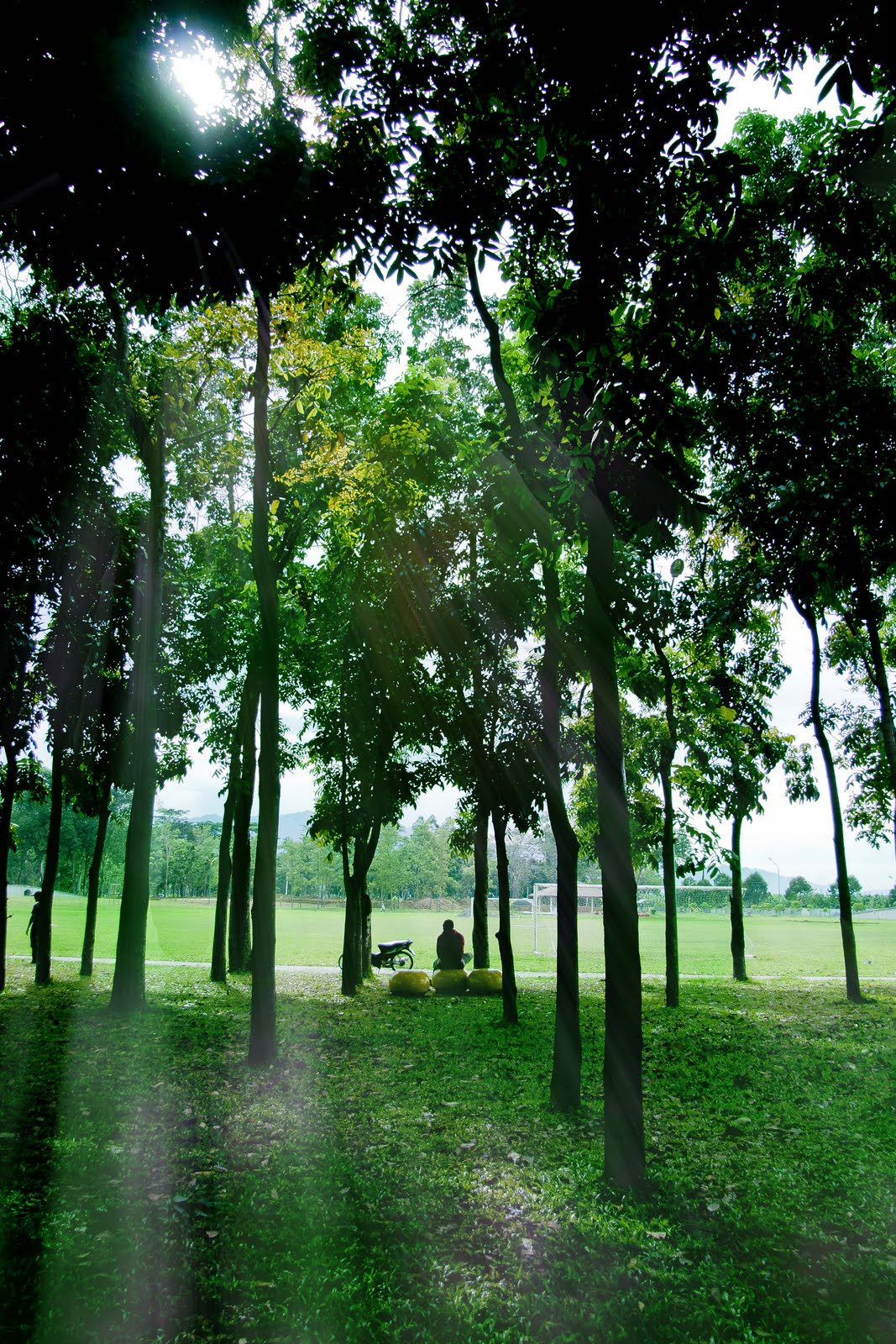 Tagum Snapshots: A GLIMPSE OF TAGUM CITY