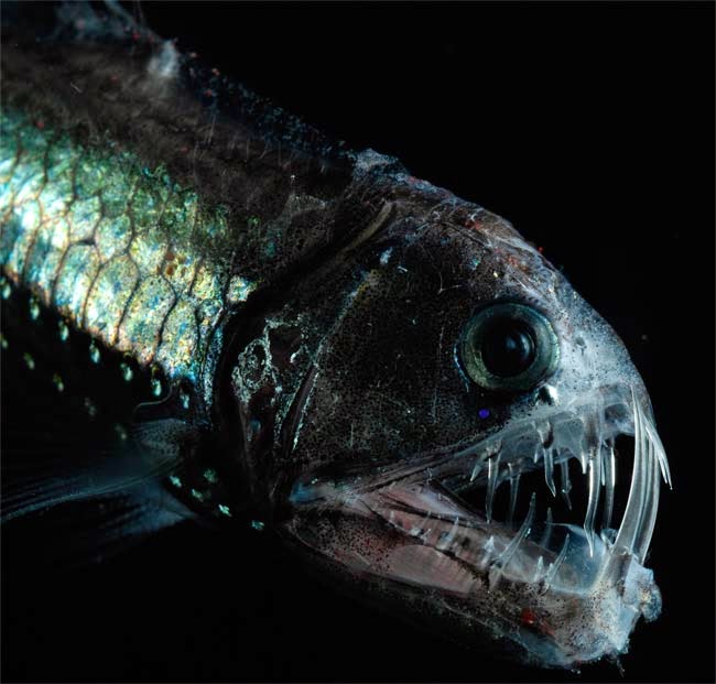 UNIQUE: Februari 2015