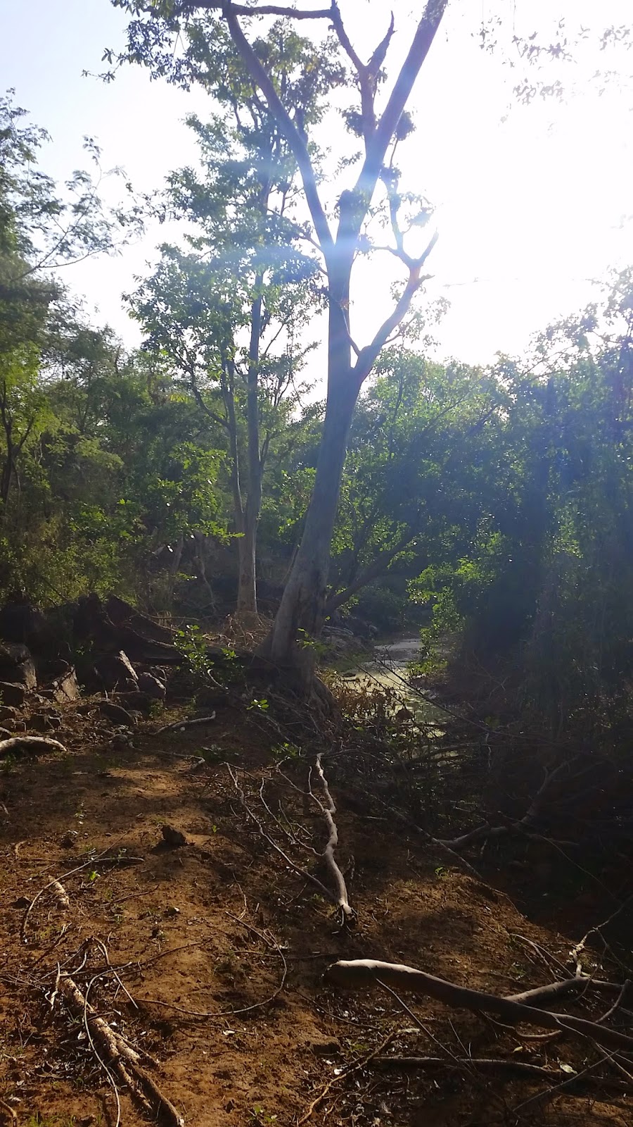 Jeevan's KALLI VALLI : Biligundlu,Man and Machine trip- Part 10(The ...