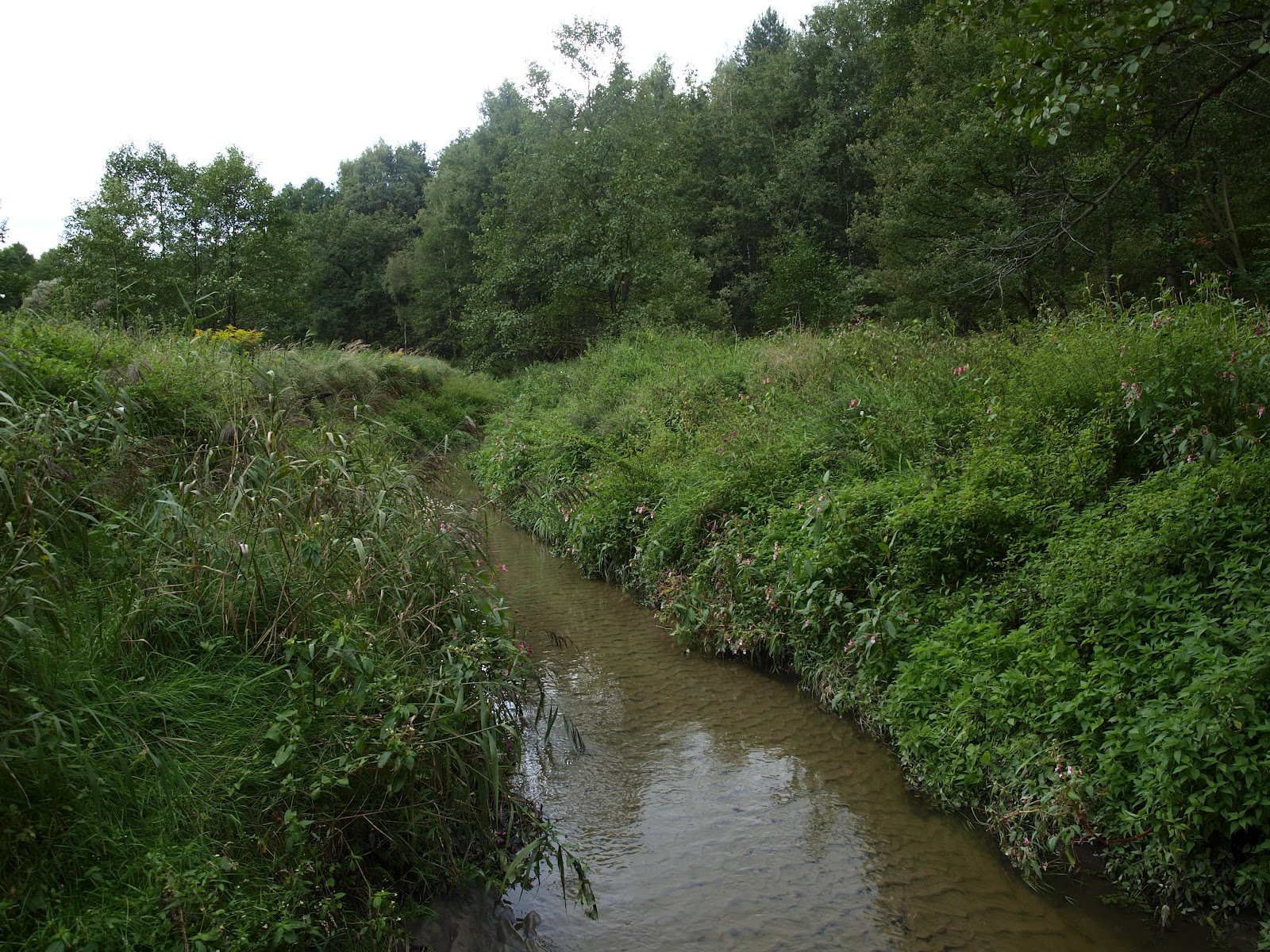 SightWay: The Jamna Valley