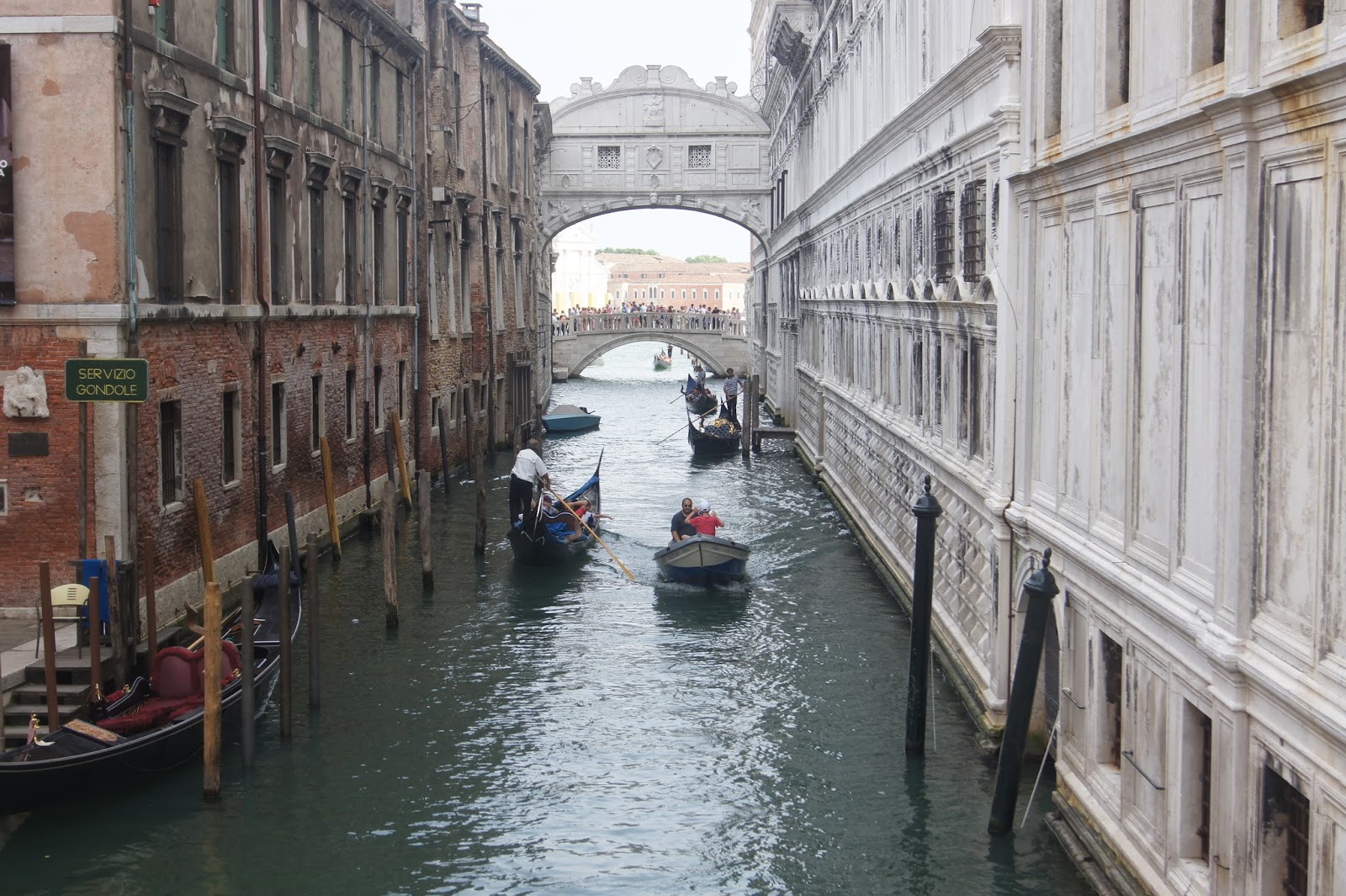 dwightthewinedoctor: WINE OF THE WEEK-ASTORIA "CARANTO" PINOT NOIR I.G ...