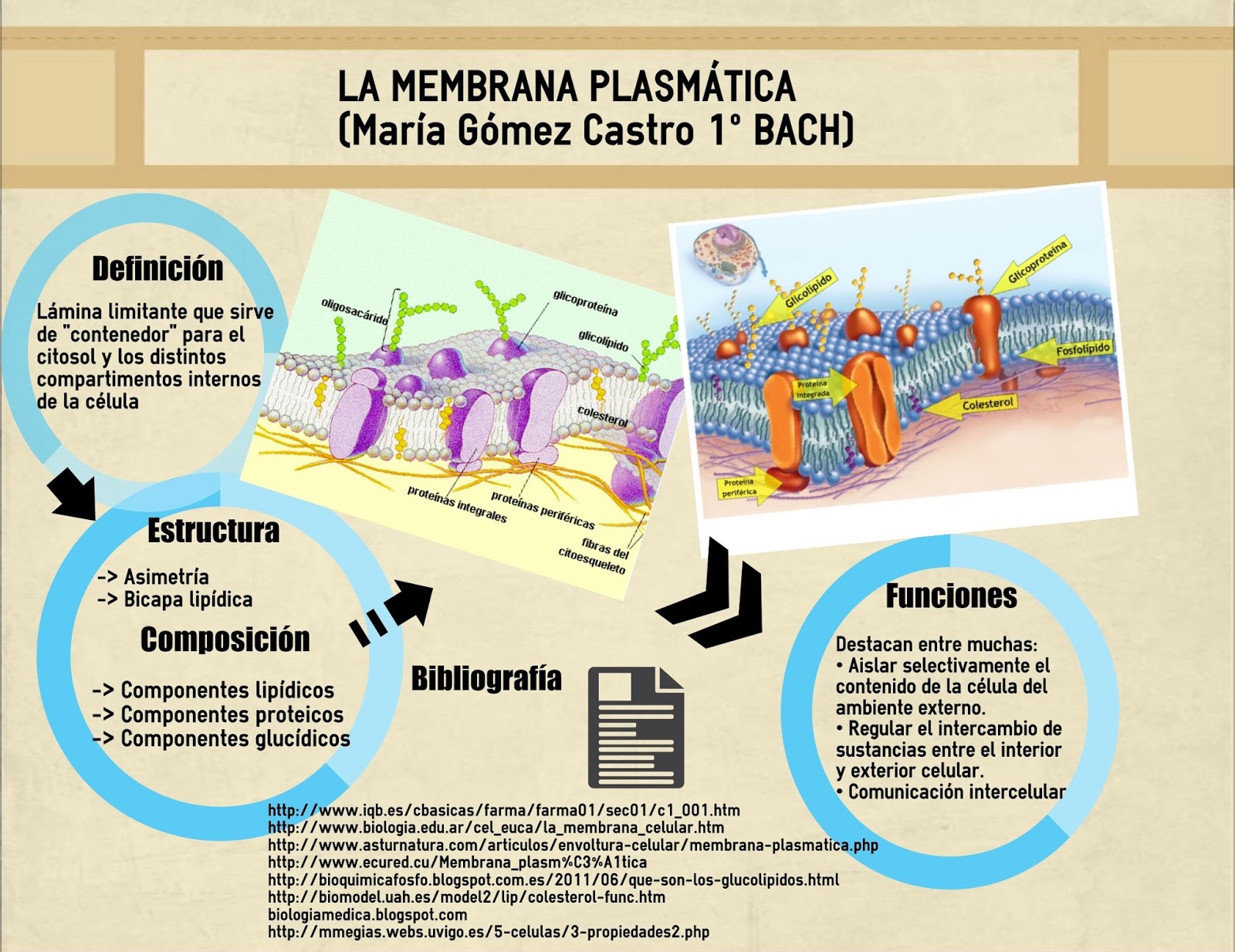 TML: Membrana Plasmática