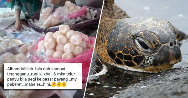 'Ya Allah, tak perlulah cuba telur penyu, haiwan tu semakin berkurangan'