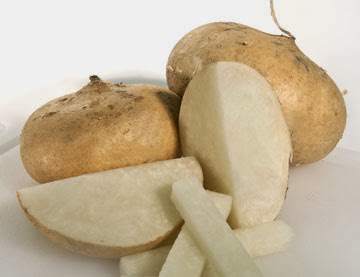 Jicama Plant - world_Science Anda