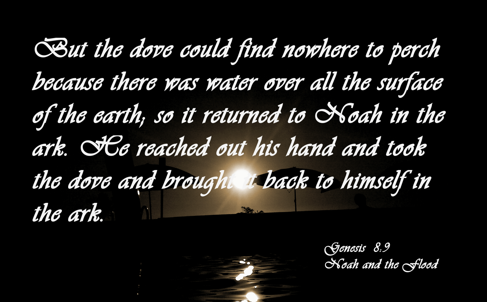 Genesis 8:9 Noah and the Flood