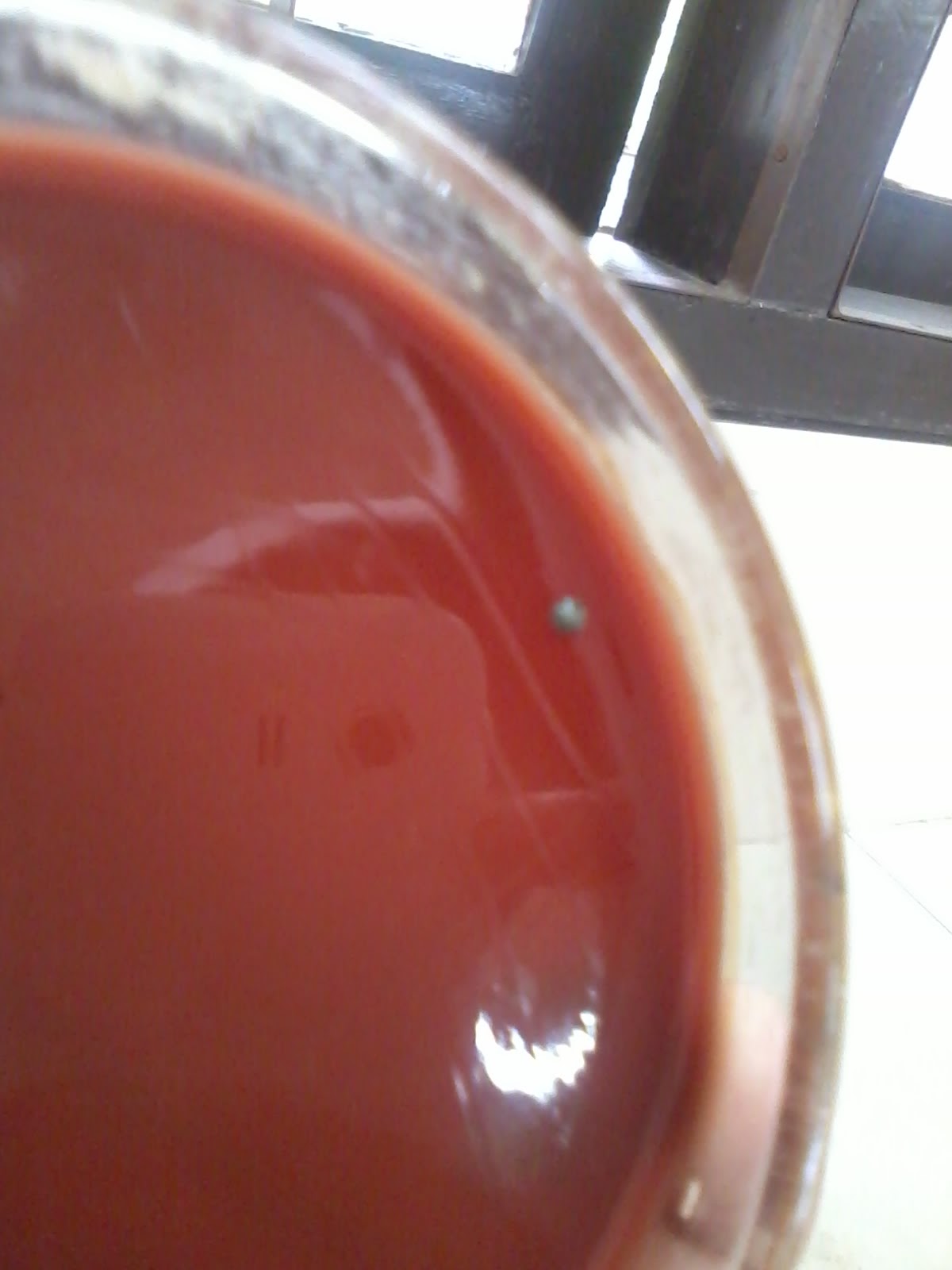 makalah MEDIA PERBENIHAN PADAT DAN CAIR ~ My Journey in Medical Lab Tech