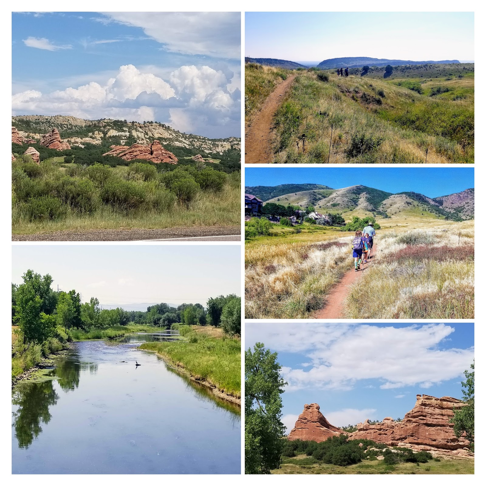 Mille Fiori Favoriti: Summer Retrospective