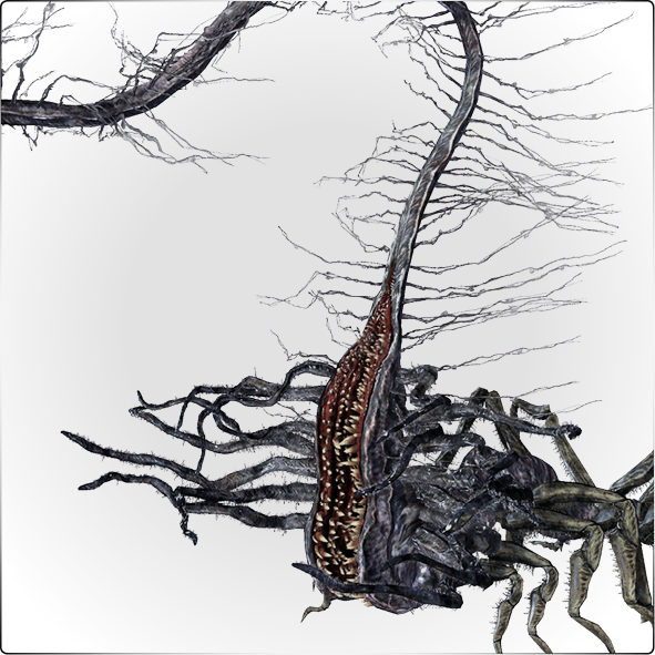 Fluorescent Flower | Bloodborne Wiki