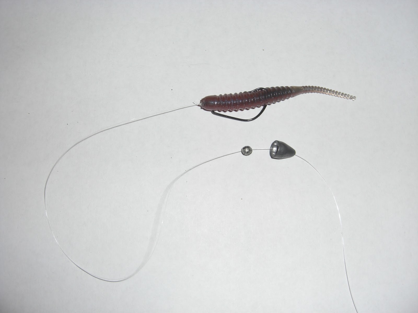 Lure and Light Game: Light Game Wrasse