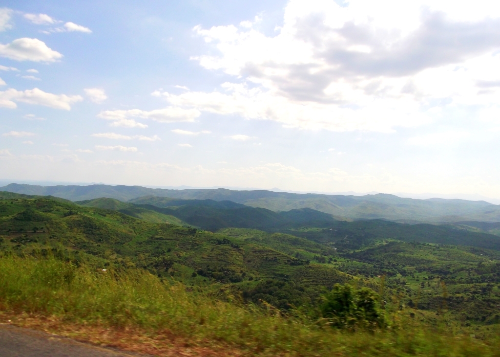 Malawian Explorer: Lower Shire valley safari, Majete game reserve, Chikwawa