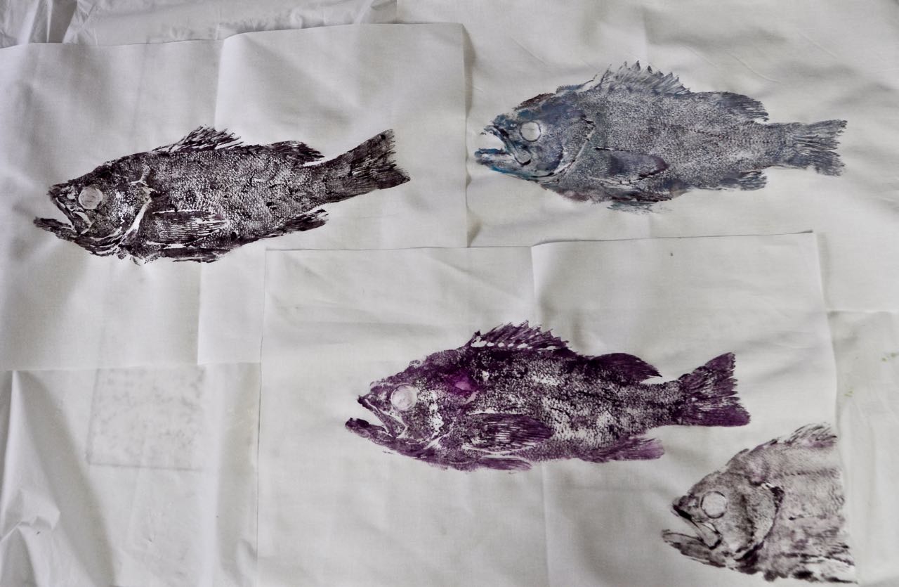 Play Day........Fish Printing | LuAnn Kessi | Bloglovin’