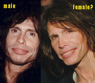 Steven Tyler Plastic Surgery Before and After Botox Injections and ...