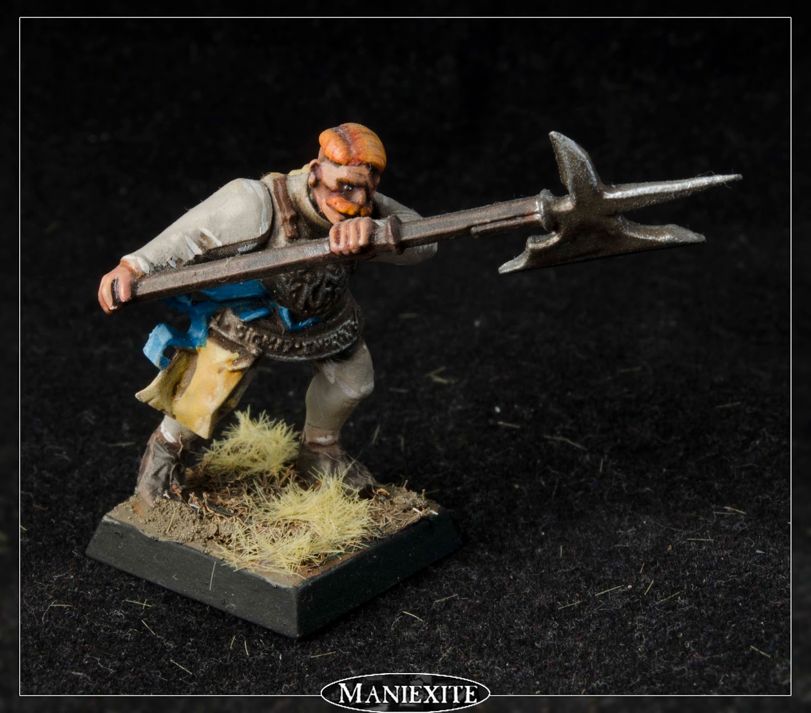 Maniexite: Warhammer Fantasy Empire Halberdier 3