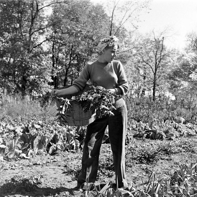 La Fleur Vintage: Farm Fashion