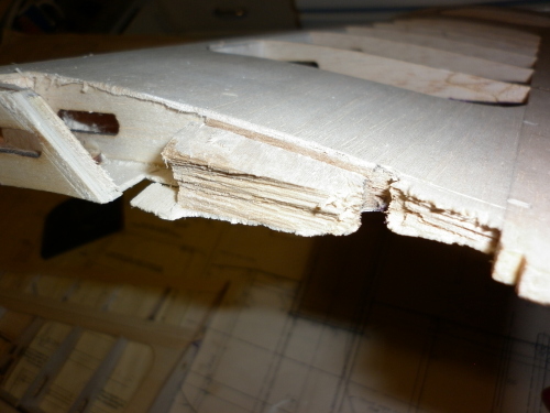 Wings N' Flying Things: Bird of Time