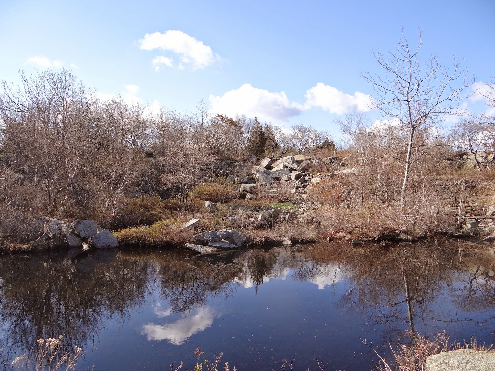 Notes from Halibut Point: May 2014