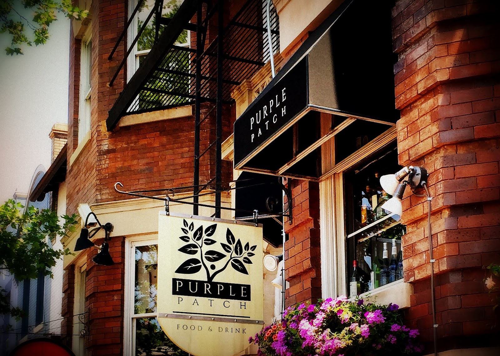 Purple Patch | Food Nomad