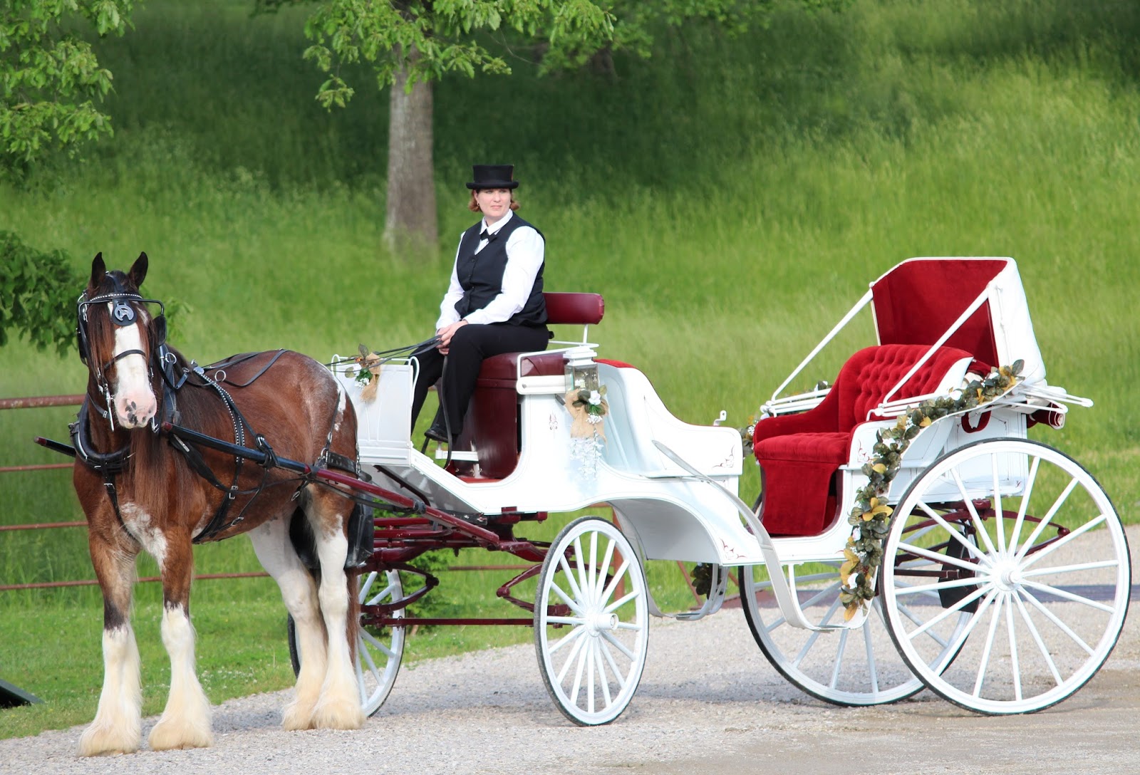 The Princess's Carriage