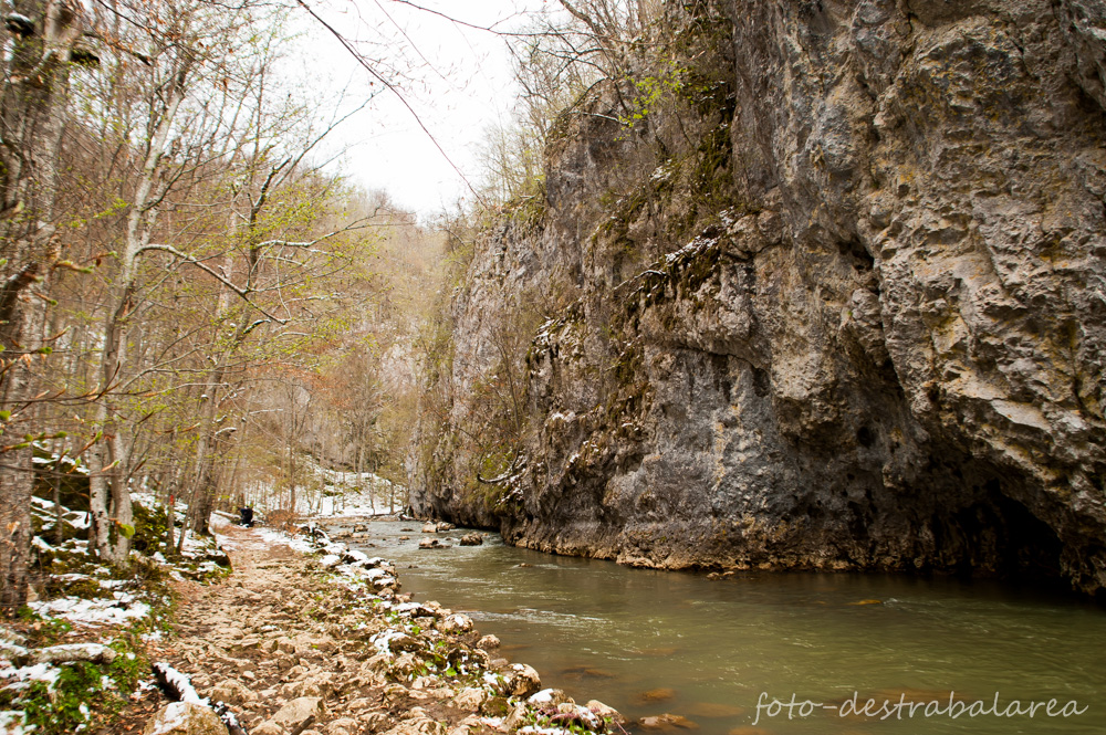 Cheile Vârghișului, Cetatea Rupea și Bujorii de la Zău de Câmpie - 21 ...