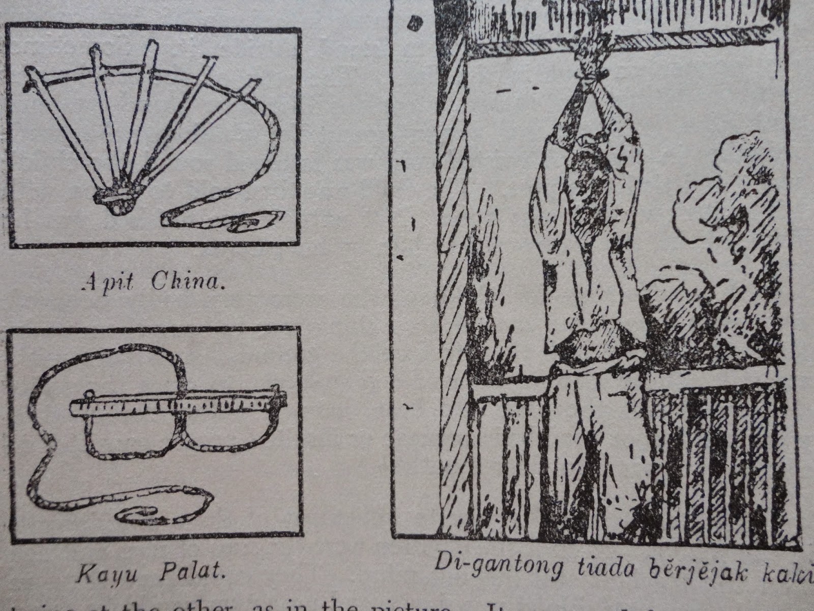 SUSTAINABLE LIVING INSTITUTE (SAVE): APIT CINA DAN KAYU PALAT UTK NAJIB?