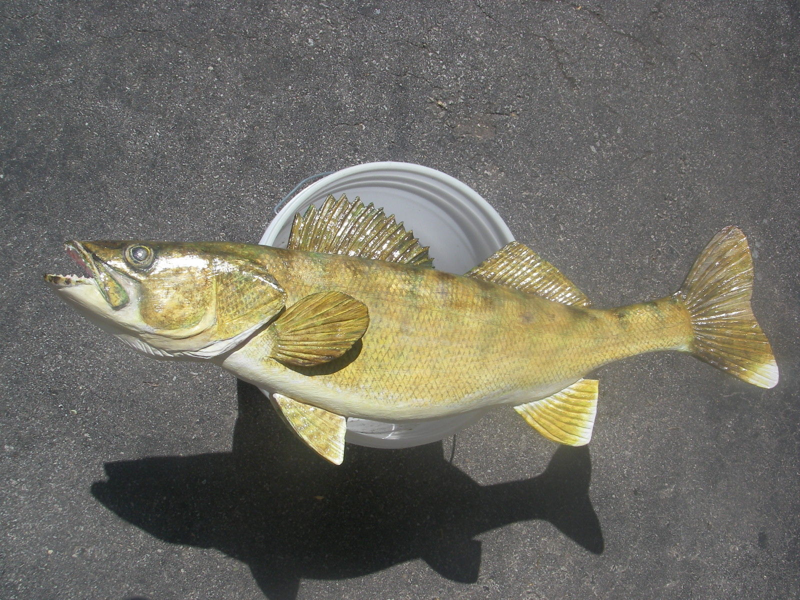 CHARLES WEISS ART: Big Wood Walleye