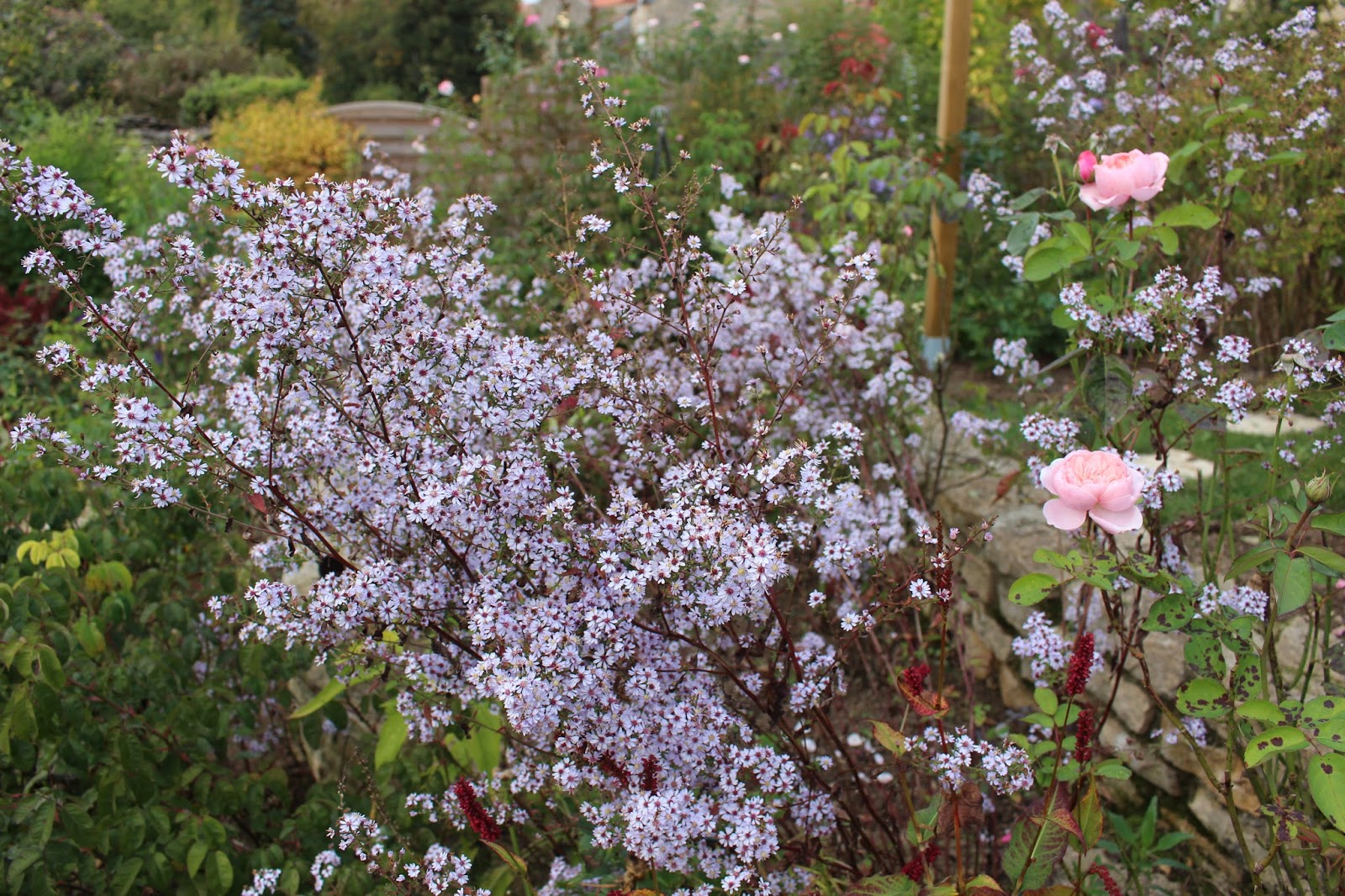 Notre jardin secret.: Commande promesses de fleurs