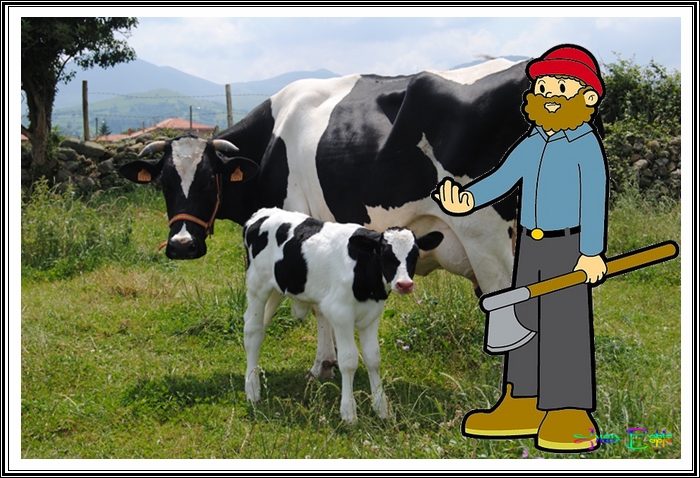 El blog de las fábulas: La vaca, el becerrillo y los ordeñadores - Jose ...