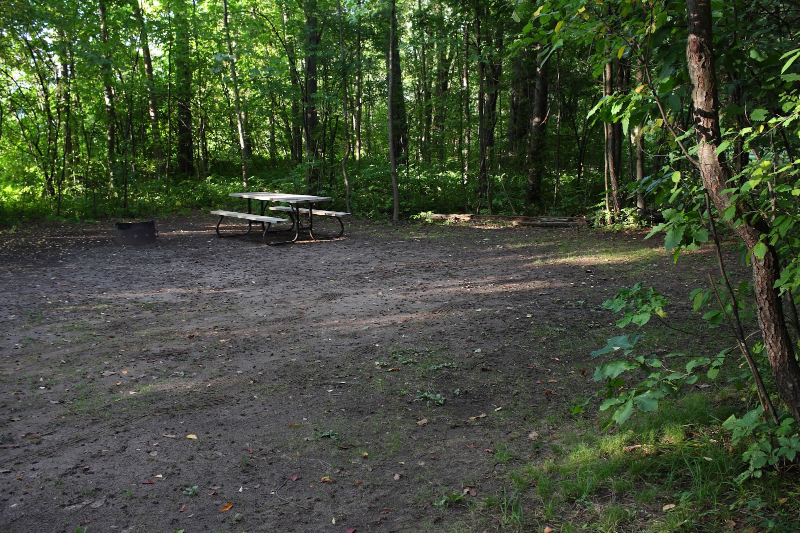 The Campsites: Rideau River Ontario Provincial Park, site 141