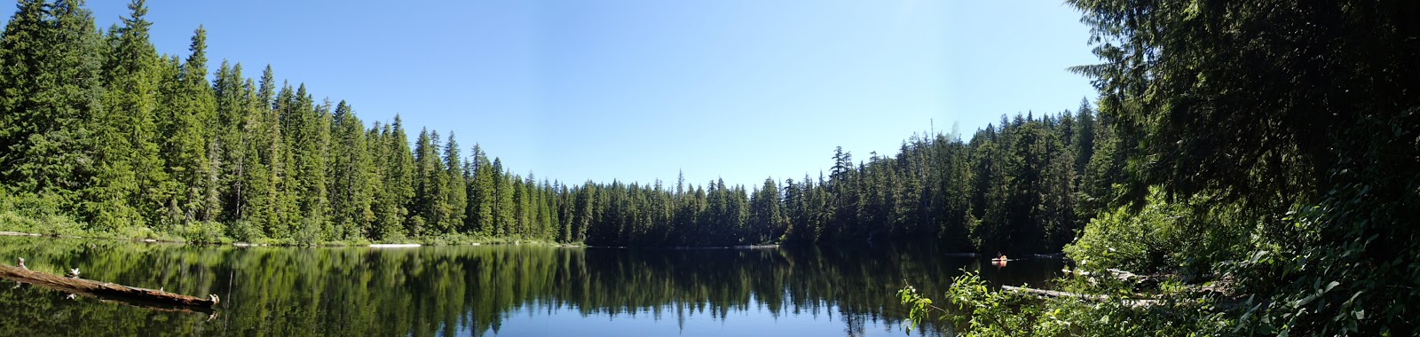Casing Oregon: Wildflower Hikes: Gordon Meadows