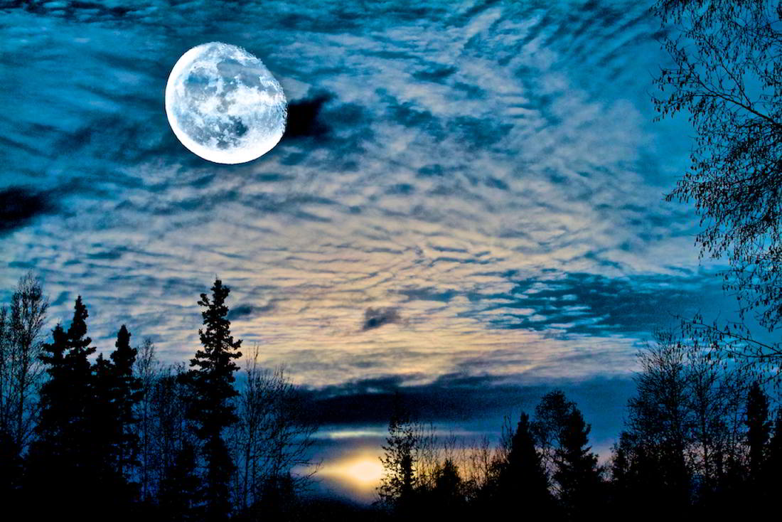 ALEXANDER SUPERTRAMP (LA HISTORIA DE CHRIS McCANDLESS)