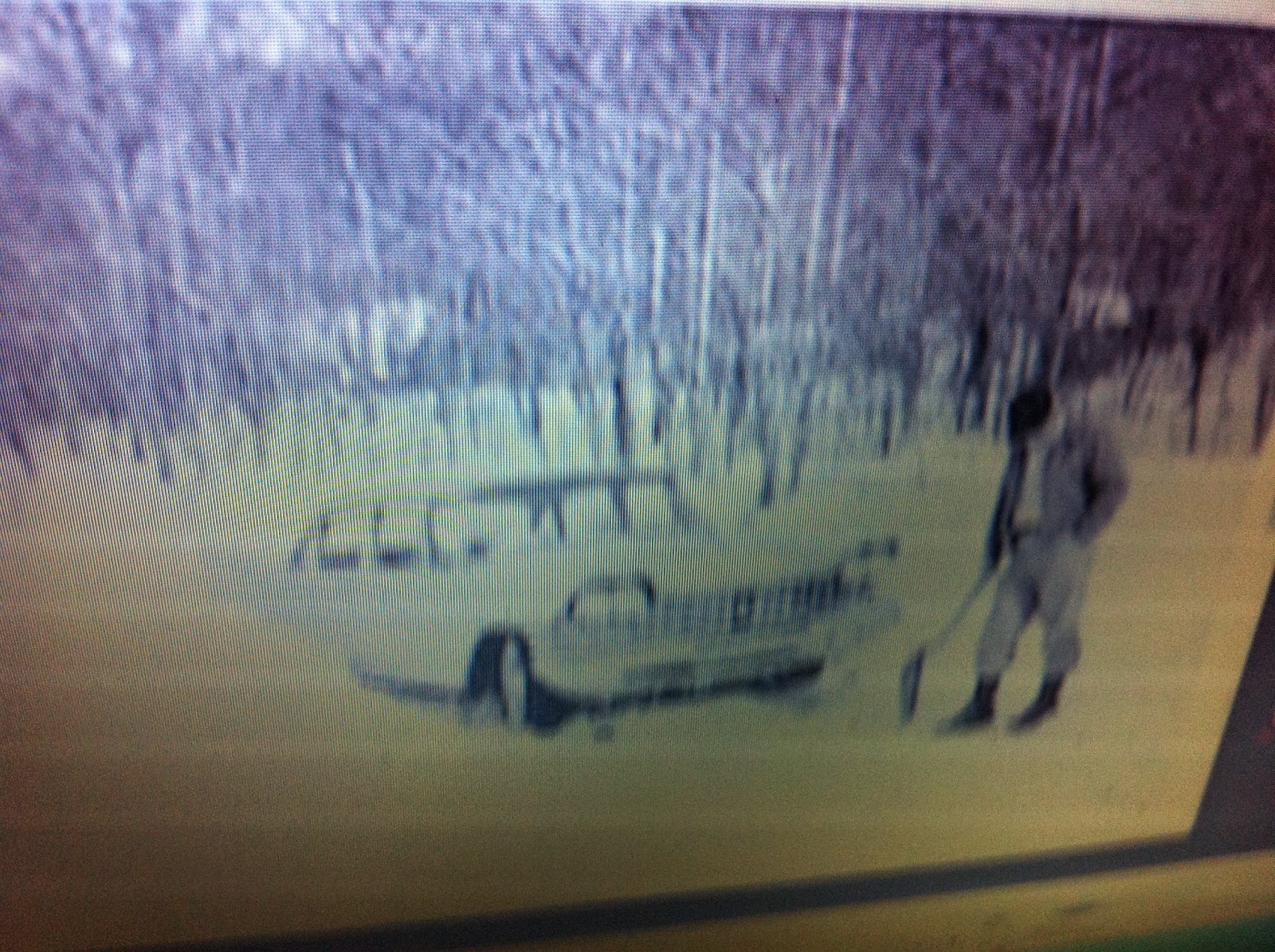 THE BLACK SOCIAL HISTORY:: BLACK SOCIAL HISTORY : AFRICAN AMERICAN ...