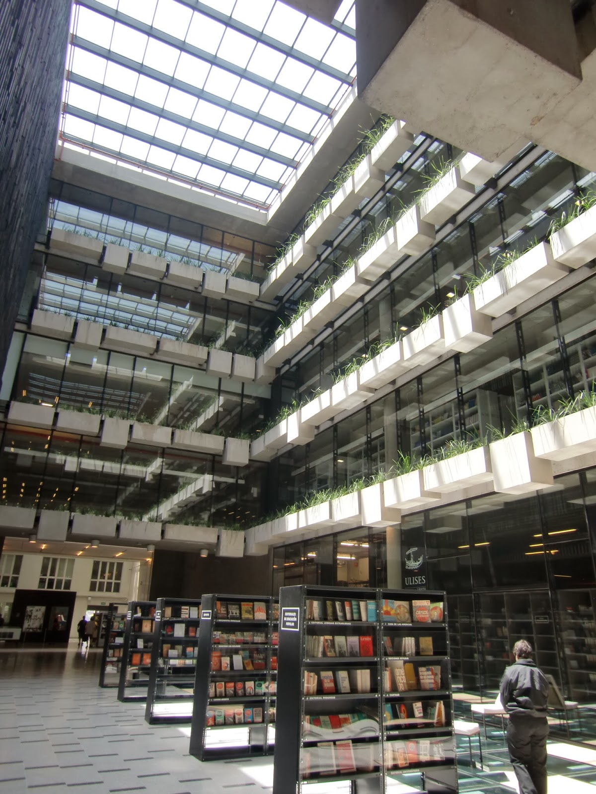 Cognition and Reality: Santiago: Freedom To Read