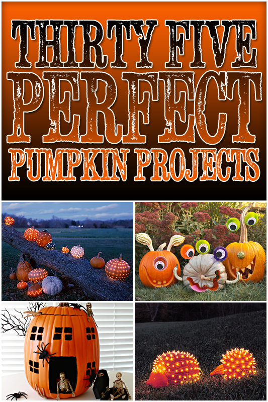 35 Perfect Pumpkin Projects - The Cottage Market