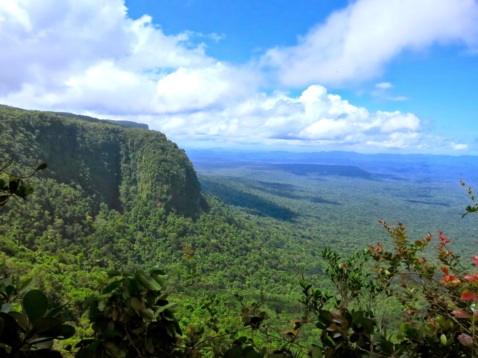 Patrimonio de la Humanidad: Reserva Natural de Surinam Central