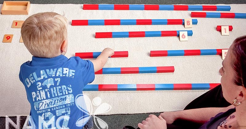 The Montessori Number Rods: Helping Preschool Students Visualize and ...