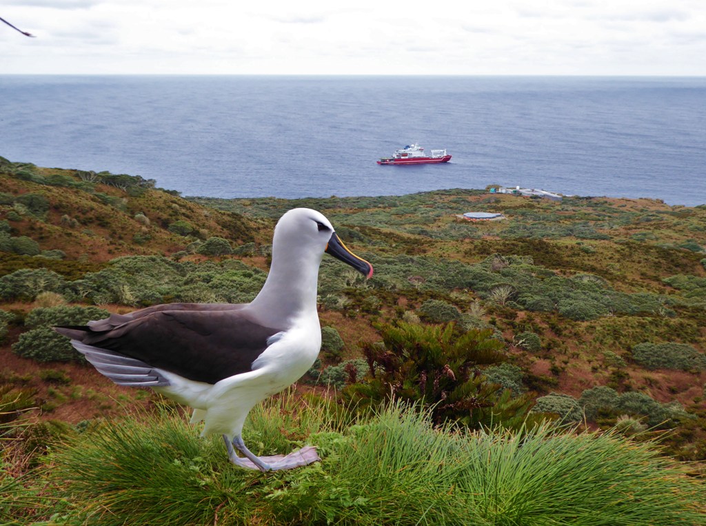 2000 Miles from Anywhere...