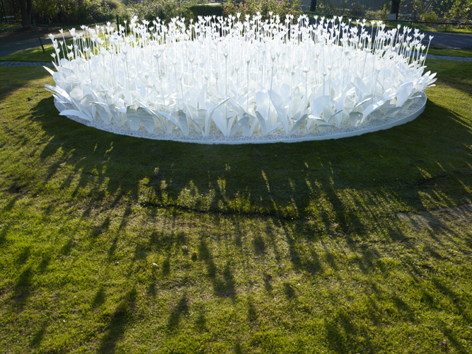 Mashmoom: Folding for Peace paper flowers