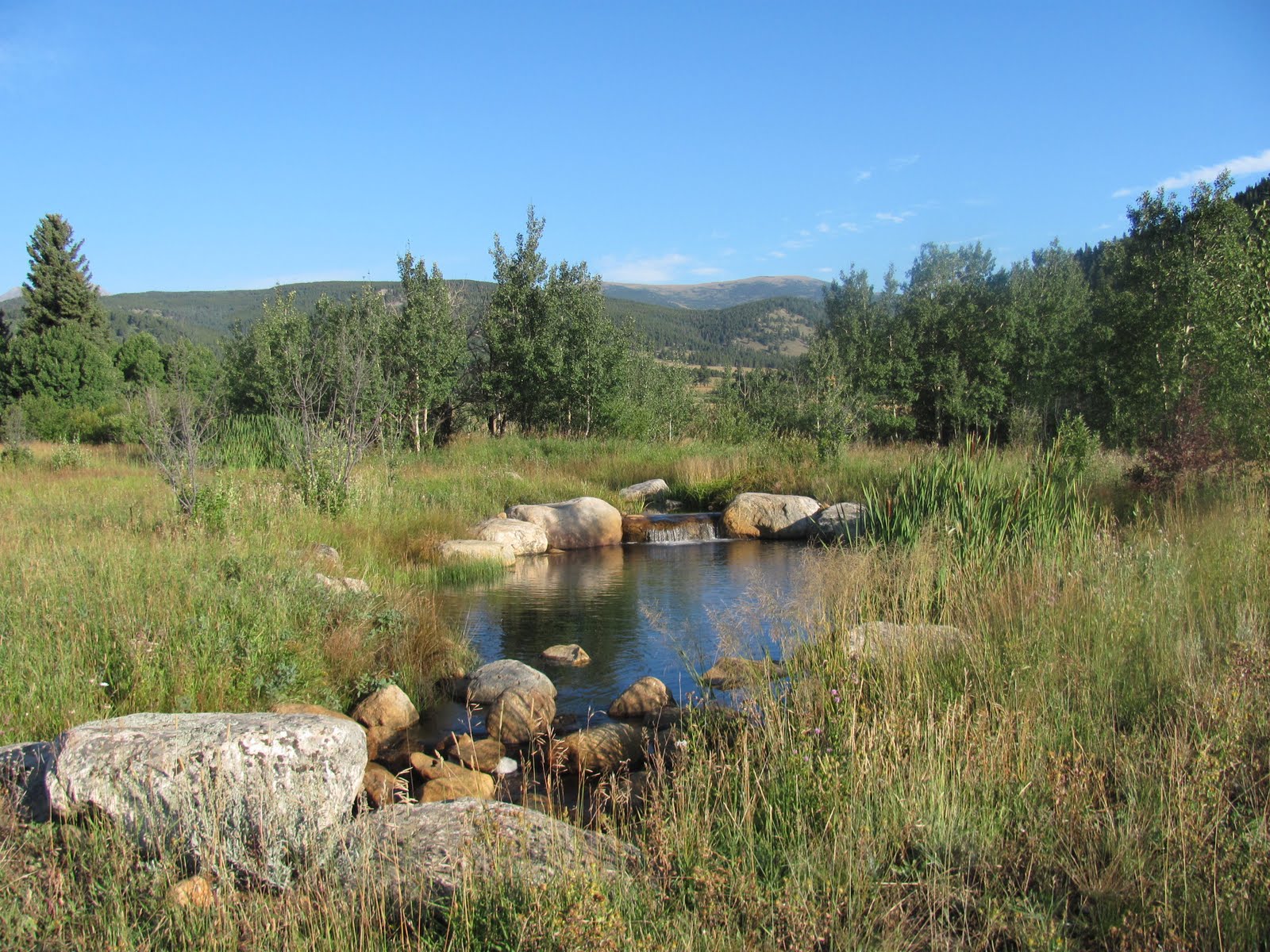 D and D Adventures: Caribou Ranch